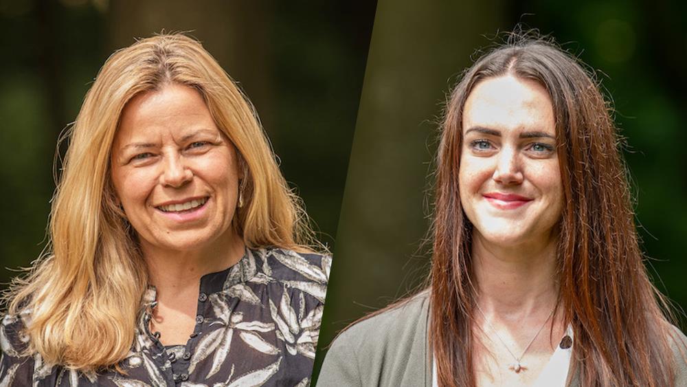 Builders' Merchants News - Two appointments at The Pallet Loop