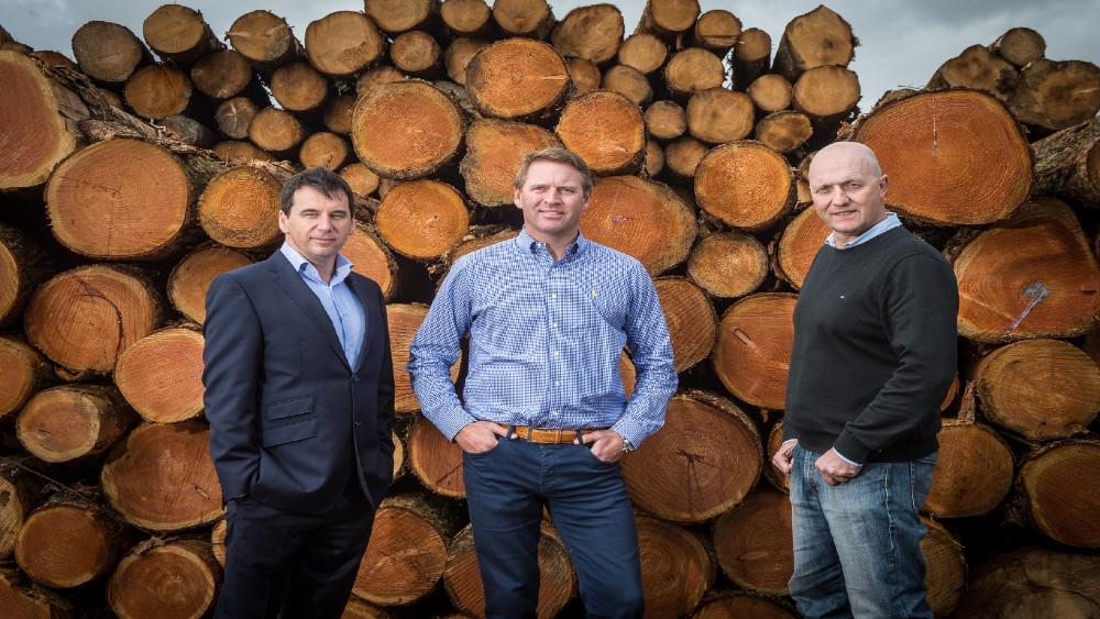Builders' Merchants News - Premier Forest Group's turnover increases ...