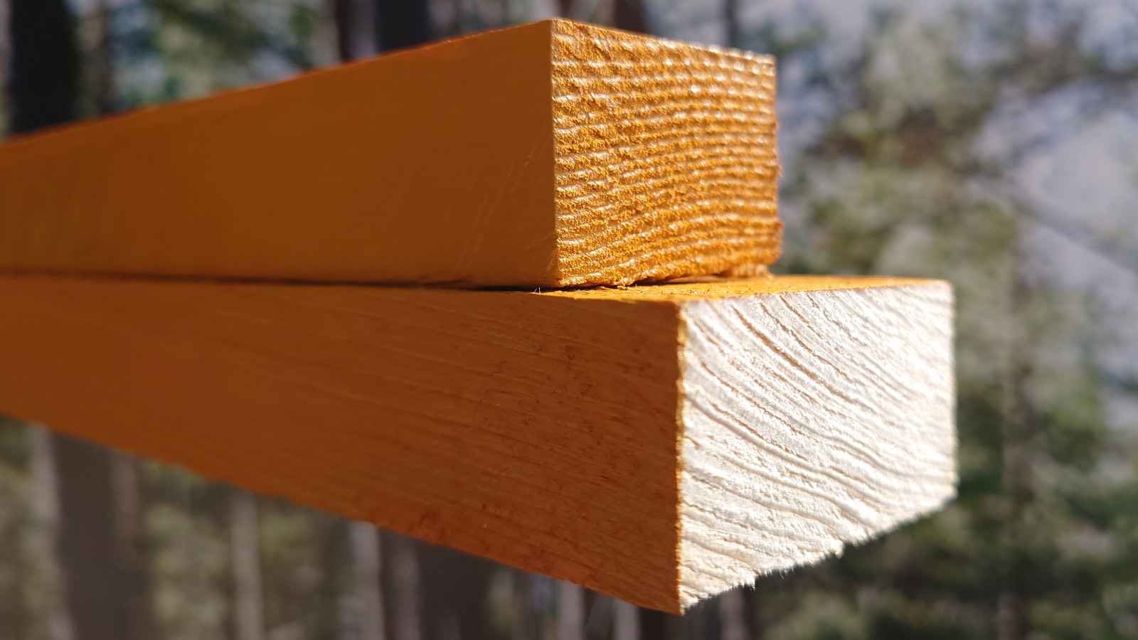 Builders' Merchants News - SR Timber launches batten end seal