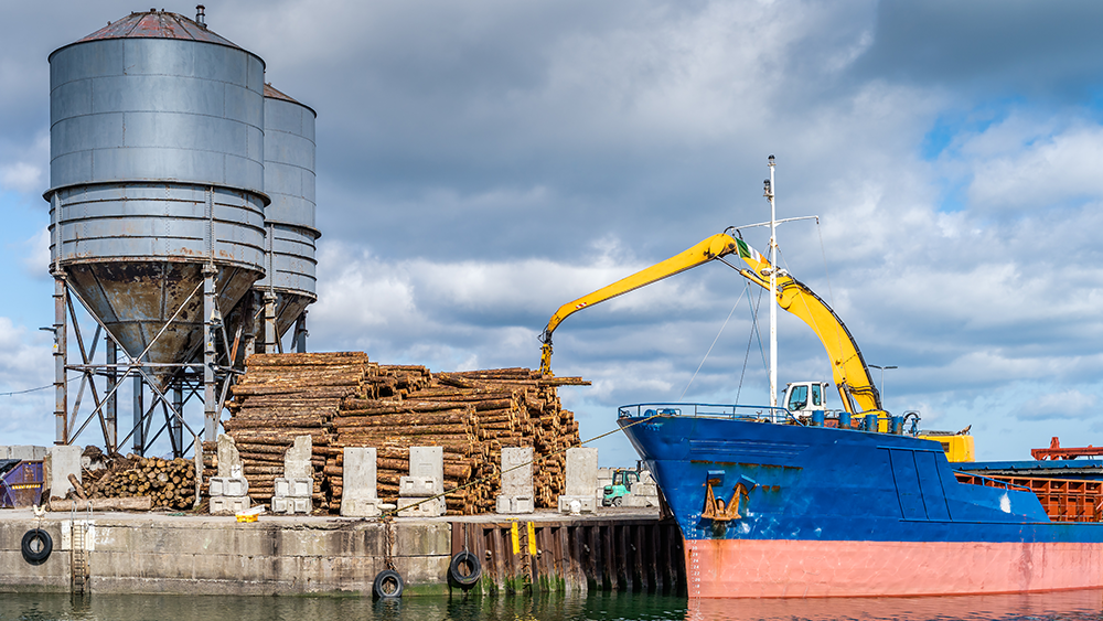 Builders' Merchants News - Timber imports continue strong market recovery