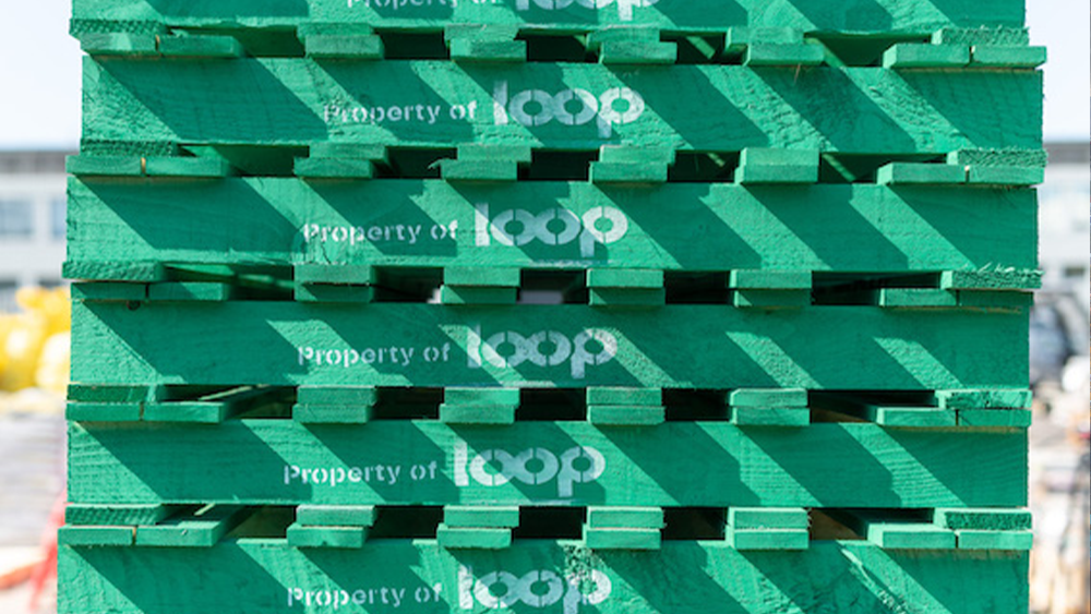 Builders' Merchants News - Changes at The Pallet Loop as firm readies ...