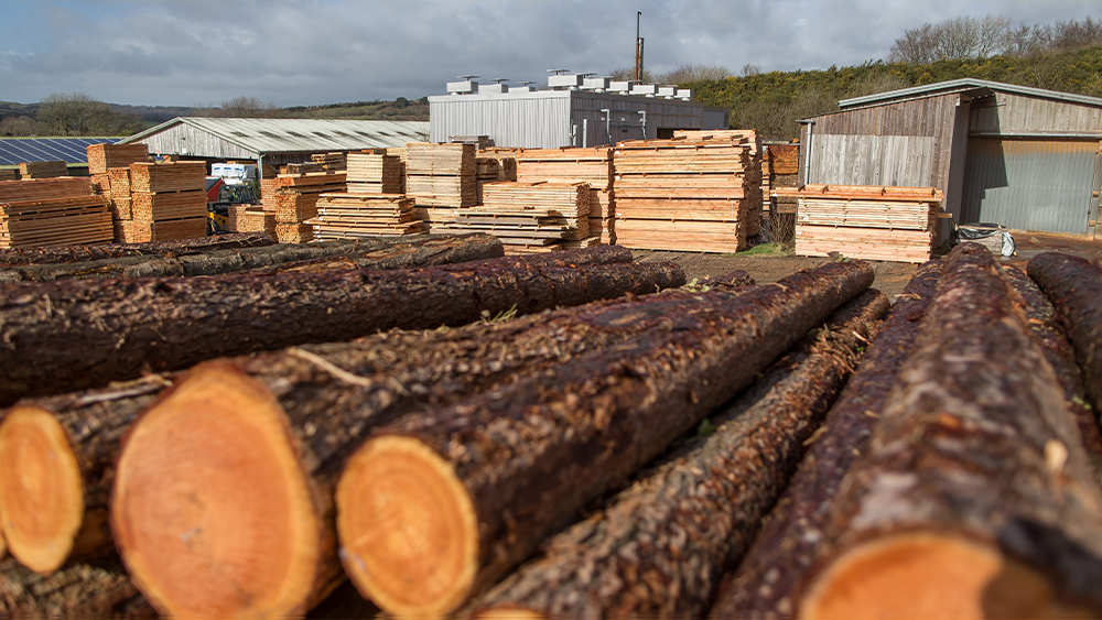 Builders' Merchants News - Timber group eyeing significant growth in 2022