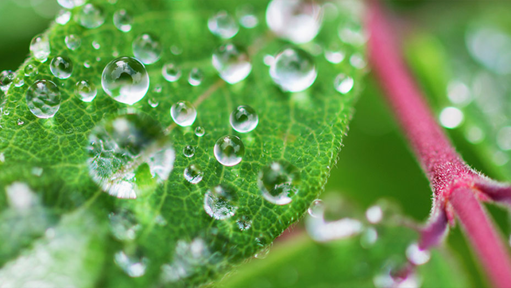 Builders' Merchants News - Labour Reaction: Get Britain building again ...