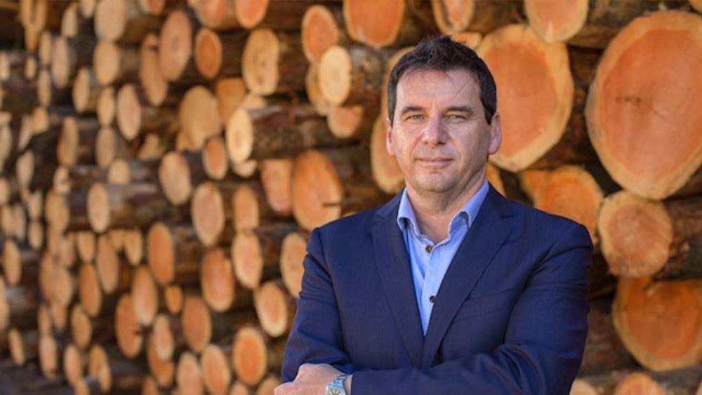 Builders' Merchants News - Premier Forest features in league table of ...