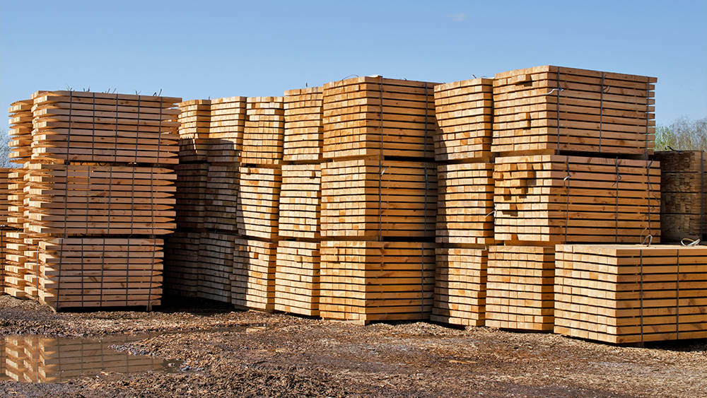 Builders' Merchants News - October sees 15% rise in timber import ...