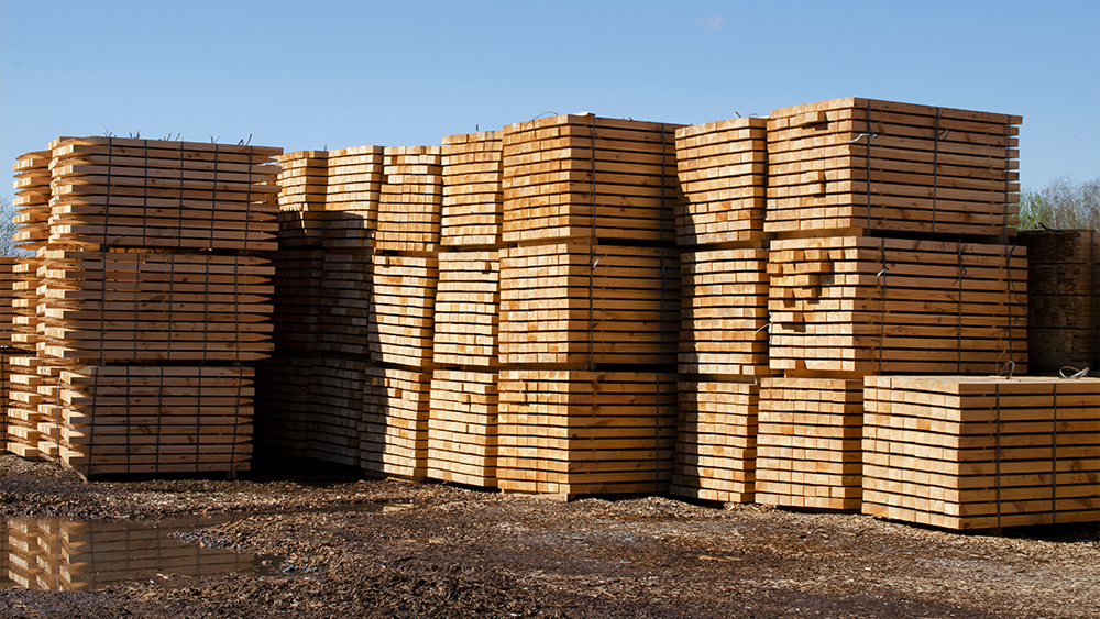Builders' Merchants News - Wood import fluctuations to stabilise in ...